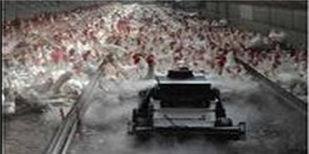 정부, 국산 AI 반도체로 스마트 헬멧·드론 개발 본격화…공공안전 혁신 시동