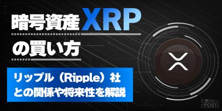 XRPの買い方・リップル社の今後の注目点・将来性を初心者向けに徹底解説