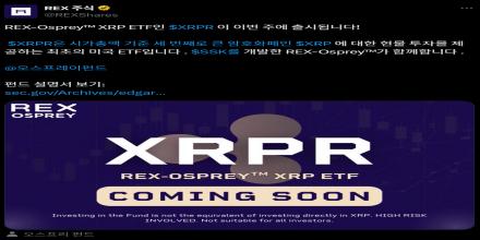 미국 첫 스팟 도지코인(DOGE)·XRP ETF 18일 출시 예정
