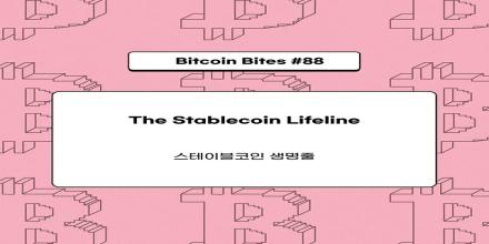 스테이블코인이 알트체인의 생명선이 되다…코인이지, 생존 조건 분석