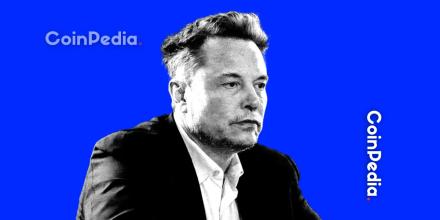Elon Musk’s X Crackdowns on Bribery Network and Crypto Scam Accounts
