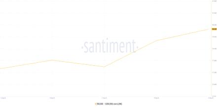 ¿Cuáles altcoins compraron las ballenas durante la tercera semana de septiembre de 2025?