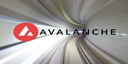 AgriFORCE tendrá la primera tesorería Avalanche con USD $500 millones y respaldo de Scaramucci