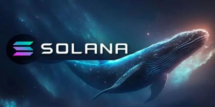 Movimiento masivo de las ballenas de Solana de 836 millones, mientras los operadores apuntan a un repunte de 260 dólares