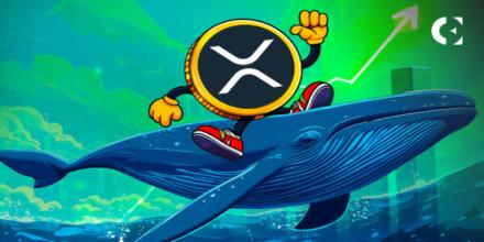 Las ballenas agregan $ 30 millones de XRP mientras el precio se mantiene en $ 2.87, con la mira puesta en una ruptura de $ 3.16