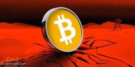 IA de Elon Musk predice precio de Bitcoin en el próximo mercado bajista