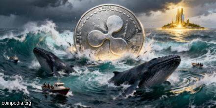 XRP Whales Move $800M — Why Retail Investors Are Fleeing to Fair Presales