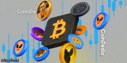 Top Meme Coins To Buy During This Crash