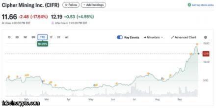 L’arme secrète de Google pour l’IA ? Une entreprise de minage de Bitcoin
