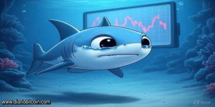 Token Baby Shark cae un 90% después que dueños de la marca desmienten relación con la memecoin
