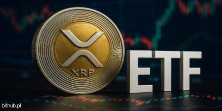 XRP ETF niemal pewny! Ale ekspert grzmi: „Za 5 lat i tak będzie bezużyteczny!”
