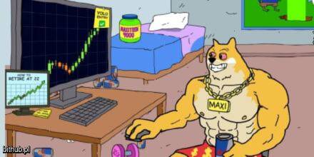 Maxi Doge rośnie w siłę – przedsprzedaż blisko 2,5 mln USD