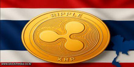 XRP 온체인 활동 비트코인 이더리움 보다 활발…지갑 절반 이상이 1년 내 거래