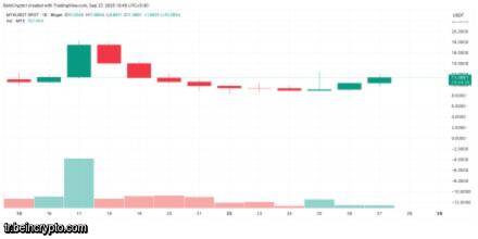 MYX Finance Fiyatı Uçuşa Geçti: Ralli Devam Edecek mi?
