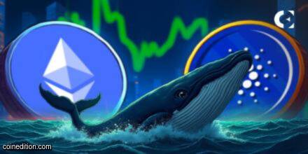 La convicción de las ballenas de las altcoins aumenta para octubre a medida que las instituciones compran la caída