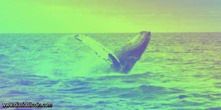 Otra ballena Bitcoin sale de las profundidades tras 12 años para mover USD $44 millones