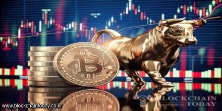 서클 5%-비트마인 5%-코인 글로벌 7%, 암호화폐주 일제↑