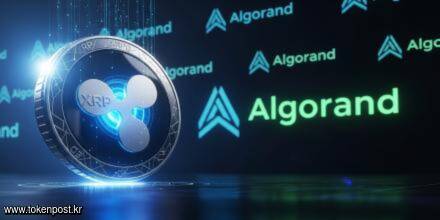 XRP 원장 핵심 개발자, 알고랜드(ALGO) CTO로 전격 이직…리플 기술 리더십에 타격