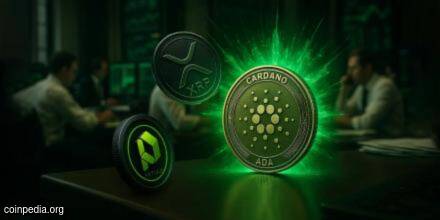 Here’s How Much Your $10,000 Will Be If XRP, Cardano, And Paydax Hit $10 This Month