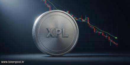 플라즈마(XPL) 급락 논란… 공동 창립자 “내부자 매도 없었다” 정면 반박