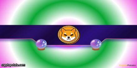 Shiba Inu (SHIB) to Hit New ATH in 2025? (This Analyst Believes so)