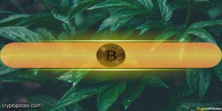 Analyst: Bitcoin’s Healthy Volatility Band Points to Realistic $130K Target