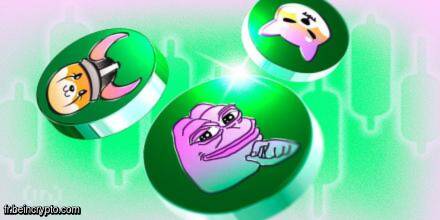 Qui profite vraiment des meme coins ? Pas les traders, en tout cas