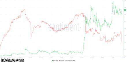 XRP 고래 보유량 3년 만에 최저…알트코인 가격 의미?
