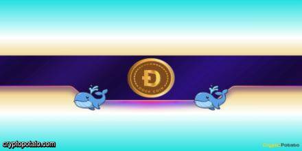 30,000,000 DOGE in Just 1 Day: Is Dogecoin Gearing up for Further Rally?