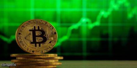Биткоин обновил максимум после притока $4,5 млрд в крипто-ETF США