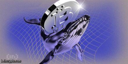 MicroStrategy Pauses Bitcoin Buys After All-Time High