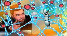 Österreichische Regierung fördert Blockchain-Projekt für sichere Krisen-Kommunikation