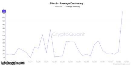 Bitcoin Balina’ları Sabırsız: Ortalama Uyku Süresi Ekim’de Zirvede