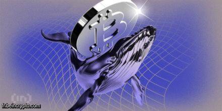 Actualités Bitcoin : Les baleines perdent patience