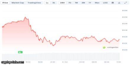 Bitcoin (BTC) Loses $5K in a Day, Ethereum (ETH) Drops Below $4,500: Market Watch
