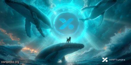 Crypto News Flash: XRP Tundra Presale Allocation 85% Sold as Shiba Inu Whales Enter Position