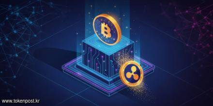 비앤비($BNB), XRP 제치고 시총 3위 탈환…시바이누·도지코인도 주목