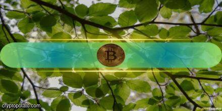 BTC Price Prediction: Analyst Eyes $400K Peak, Here’s When