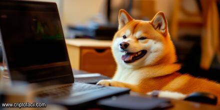 Dogecoin pode ficar fora da bull run cripto, apontam indicadores