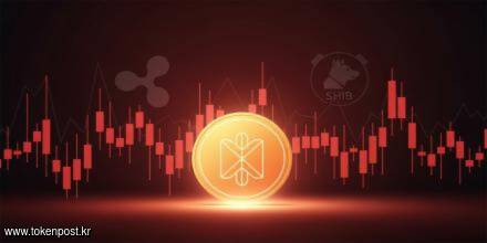 BNB 과열 랠리 속 XRP·시바이누 동반 약세…암호화폐 시장 '온도차'