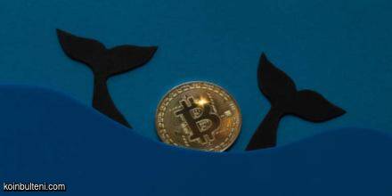Balinalar Yönünü Çevirdi, Bitcoin Hyper’da Çılgınlık: 30 Milyon Dolara Dayandı!