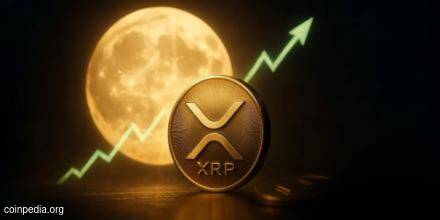 Analyst Shares Key Insight on the XRP Price, Explosive $100 Moonshot Possible