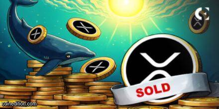Las ballenas XRP se deshacen de 50 millones de dólares al día a medida que la venta masiva presiona el sentimiento del mercado