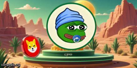 6 Meme Coins That Will Turn $10,000 into $100,000 in 2025: Shiba Inu (SHIB) Won’t Be One of Them