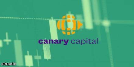 Canary Capital приблизилась к одобрению SEC для ETF на XRP и Solana на фоне правительственного шатдауна