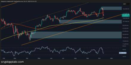 Bitcoin Price Analysis: Is BTC’s Momentum Leaning Bearish After the Crash?