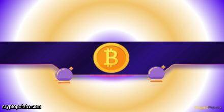 Top Bitcoin (BTC) Price Predictions Following the Crash: New ATH in Sight?