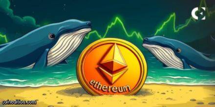 ETH se hunde mientras las ballenas cargan $ 480 millones, Cowen se vuelve alcista