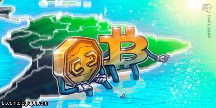 Brasil retira R$ 55 milhões e minimiza ‘dump de Trump’ nos fundos de criptomoedas