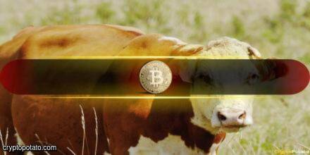 Bitcoin’s MVRV Ratio Hints at Another Major Rally, Analysts Say Market Still Far from Euphoria